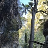 Northbrook Gorge, Queensland, Australia - 242 Reviews, Map | AllTrails
