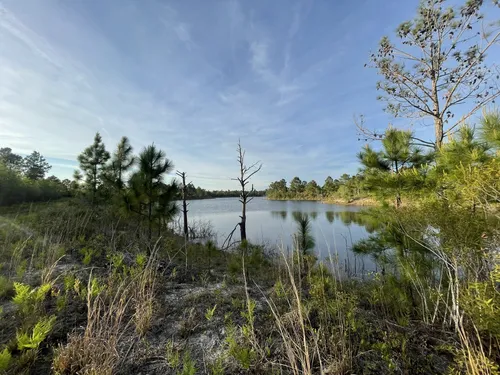 Best Hikes and Trails in Holly Ridge | AllTrails