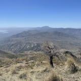 Mount Ord, Arizona - 296 Reviews, Map | AllTrails