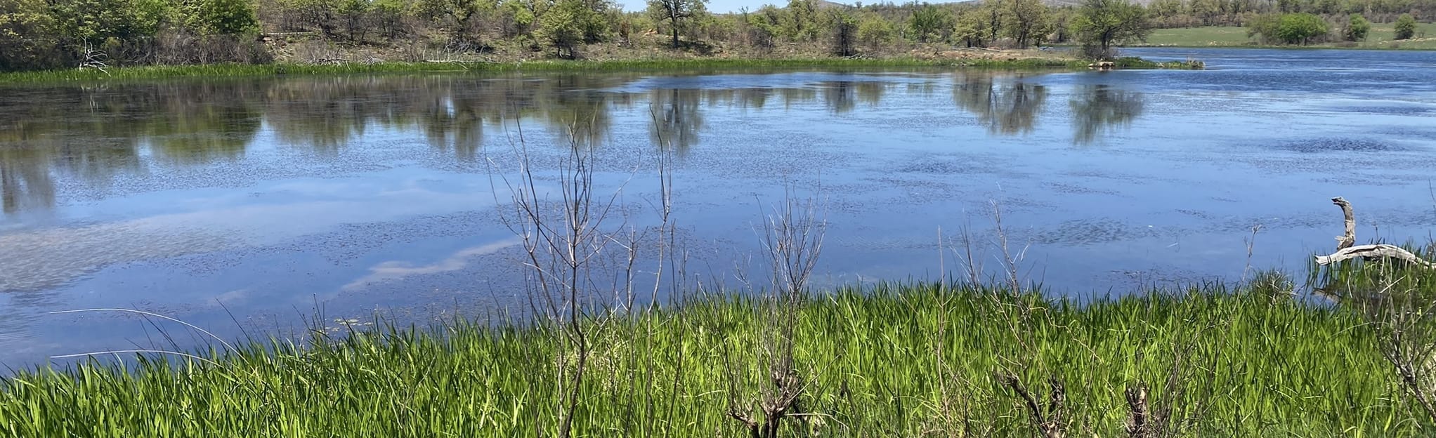 Bison and Longhorn Trail Loop: 266 Reviews, Map - Oklahoma | AllTrails