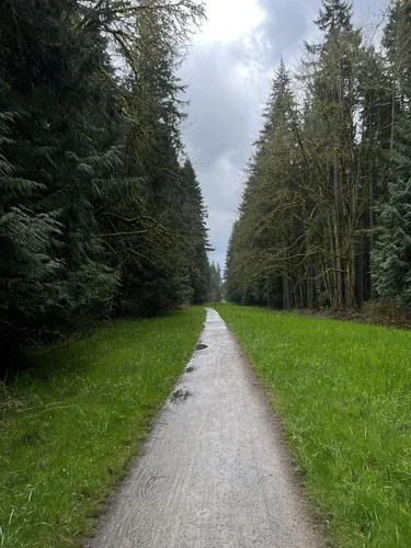 Best Hikes and Trails in Redmond Watershed Preserve | AllTrails