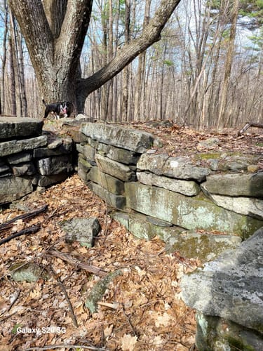 2023 Best Forest Trails in Nashua Valley Conservation Area | AllTrails