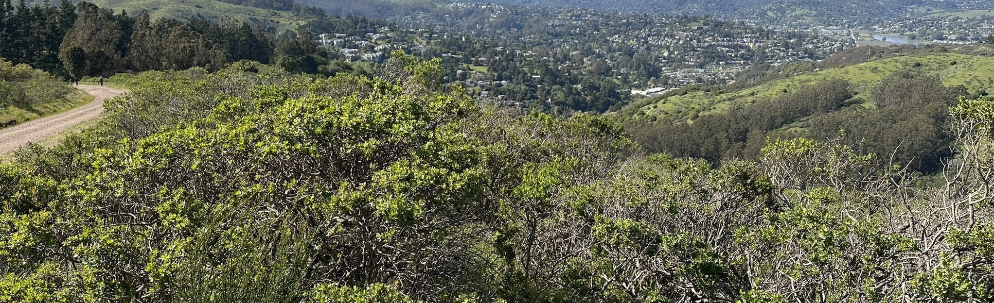 Marincello, Miwok, and Old Springs Loop: 461 Reviews, Map - California ...