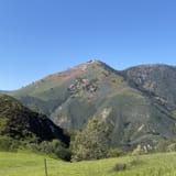 Figueroa Mountain [CLOSED], California - 320 Reviews, Map | AllTrails