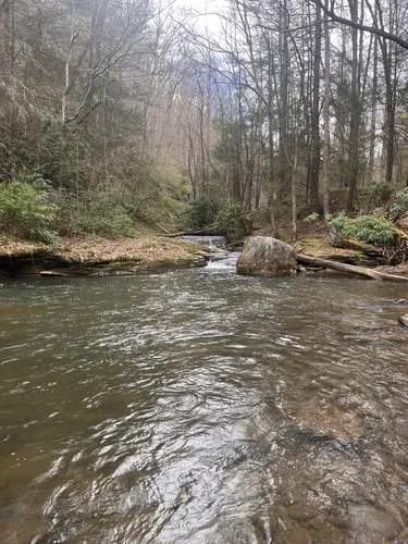 Best Hikes and Trails in Holly River State Park | AllTrails