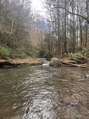 Best Hikes and Trails in Holly River State Park | AllTrails