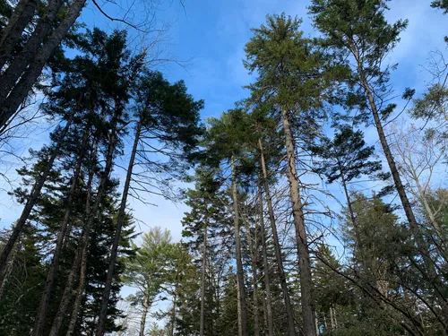 Best Hikes and Trails in Calderwood Preserve | AllTrails