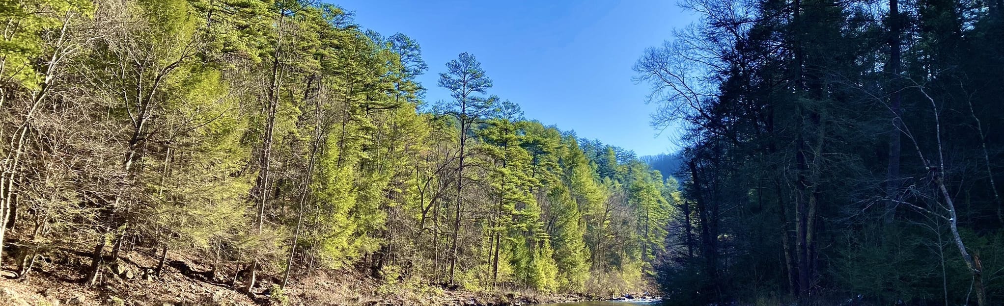 Conasauga River Trail, Tennessee - 84 Reviews, Map | AllTrails