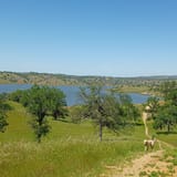 Hensley Lake Day Use Areas Trail, California - 356 Reviews, Map | AllTrails