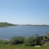 Hensley Lake Day Use Areas Trail, California - 356 Reviews, Map | AllTrails