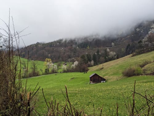 2023 Best Camping Trails in Triesen | AllTrails