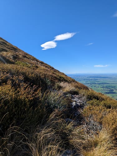 Best Hikes and Trails in Sharplin Falls Reserve | AllTrails