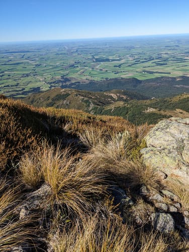 Best Hikes and Trails in Sharplin Falls Reserve | AllTrails