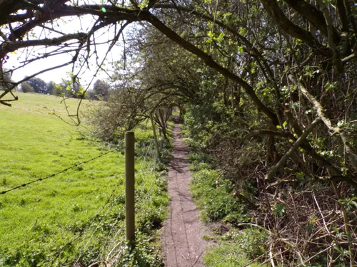 Beste wandelingen en routes in Bramcote Hills Park | AllTrails