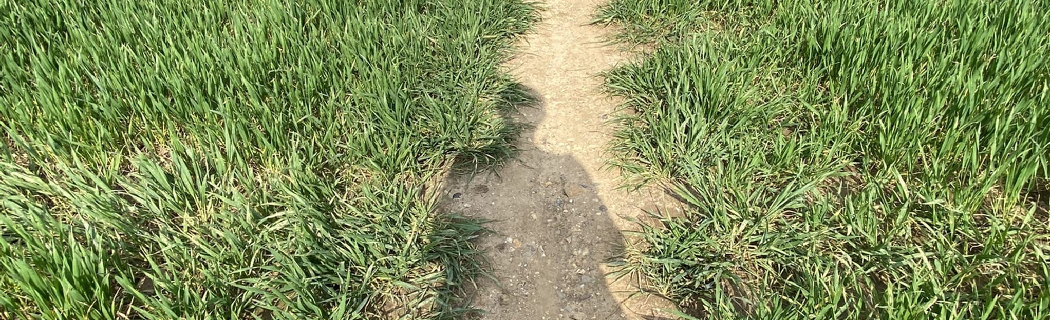 St Stephens Chapel and Bures Dragon View: 21 Reviews, Map - Suffolk ...