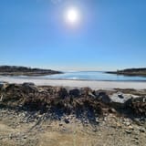 Timber Point, Maine - 319 Reviews, Map | AllTrails