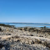 Timber Point, Maine - 319 Reviews, Map | AllTrails