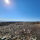 Timber Point, Maine - 319 Reviews, Map | AllTrails