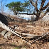 Timber Point, Maine - 319 Reviews, Map | AllTrails