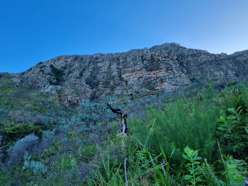 2023 Best Trails, Walks, and Paths in Helderberg Nature Reserve | AllTrails