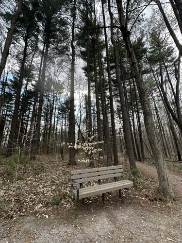 Best Hikes and Trails in Hogback Ridge Park | AllTrails