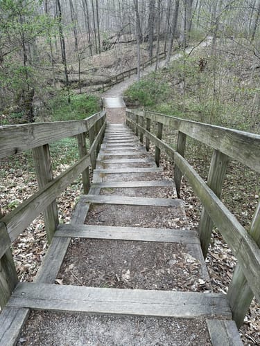 Best Hikes and Trails in Hogback Ridge Park | AllTrails