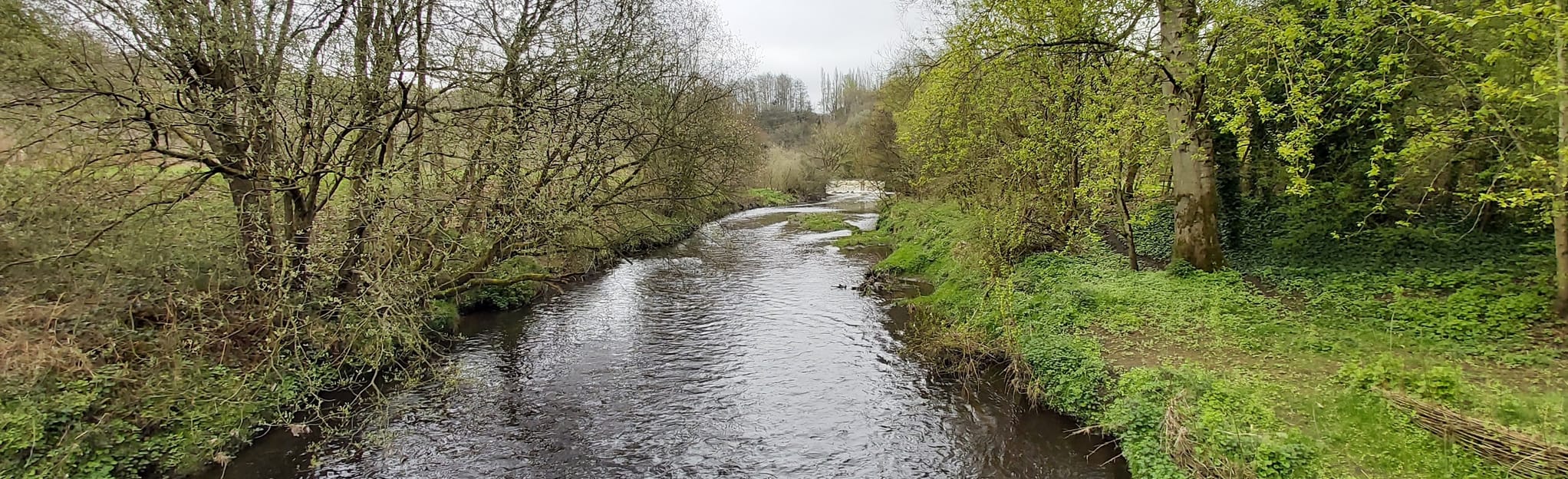 Reddish Vale and River Tame, Greater Manchester, England - 134 Reviews ...