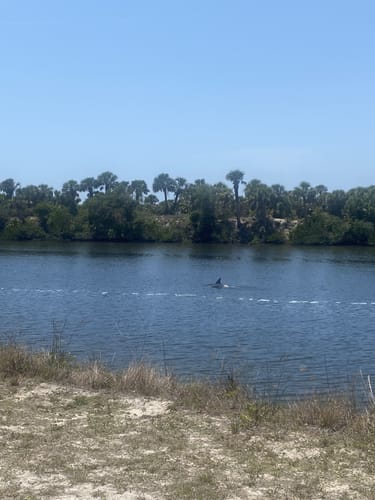 Best Hikes and Trails in Shamrock Park and Nature Center | AllTrails