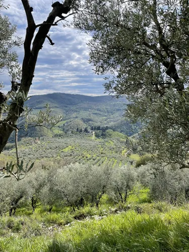 2023 Best Trails, Walks, and Paths in Pontassieve | AllTrails