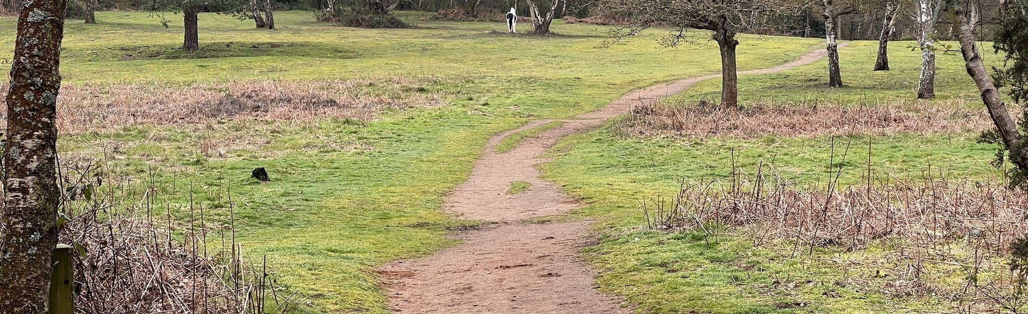 The Refectory and Milford Common Walk, Surrey, England - 28 Reviews ...