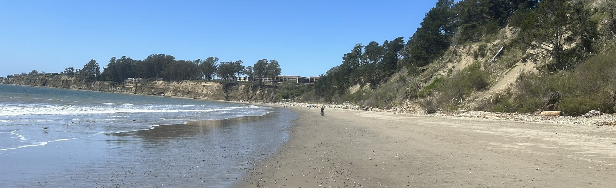 Seacliff State Beach Walk, California - 203 Reviews, Map | AllTrails