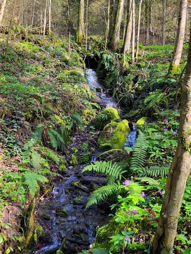 2023 Best Wildlife Trails in Root | AllTrails