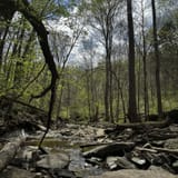 Nine Penny Branch Loop, Indiana - 550 Reviews, Map | AllTrails