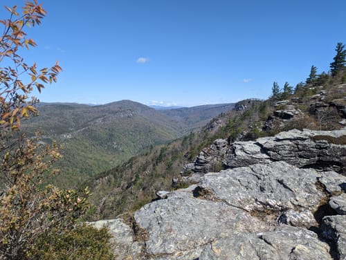 2023 Best Views Trails in Jonas Ridge | AllTrails