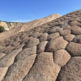 Yellow Knolls Trail, Utah - 437 Reviews, Map | AllTrails