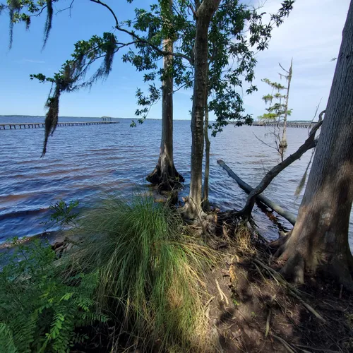 Best Hikes and Trails in Walter Jones Historic Park | AllTrails