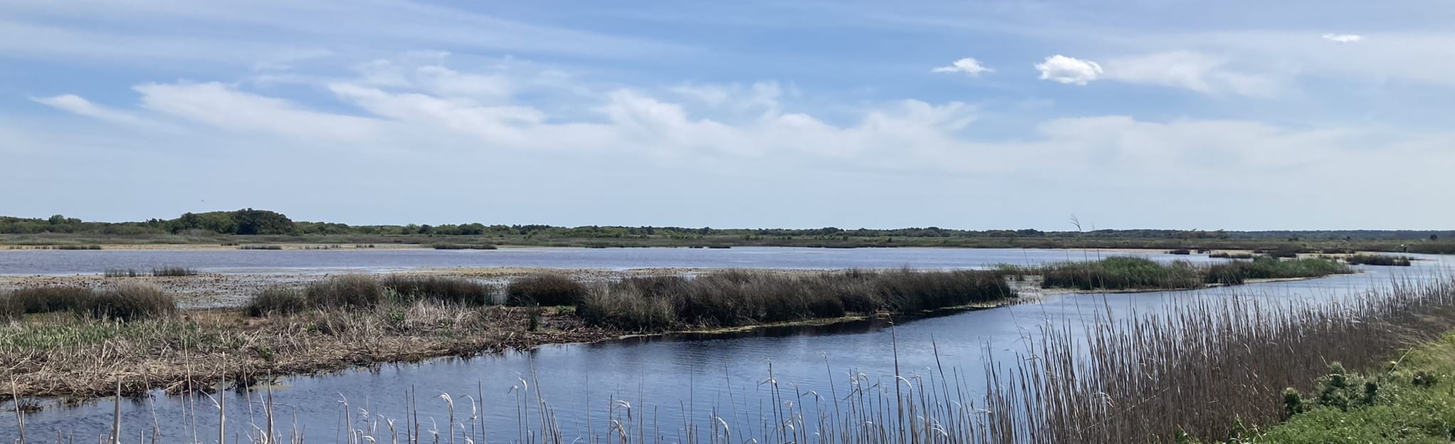 West Dike, Barbour Hill, Sand Ridge Beach Loop: 159 Reviews, Map ...