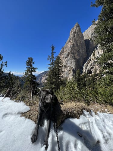 2023 Best Forest Trails in Lavina Bianca | AllTrails