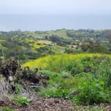 Burma Road, Peacock Flats and Ishibashi Trail Loop [CLOSED], California ...