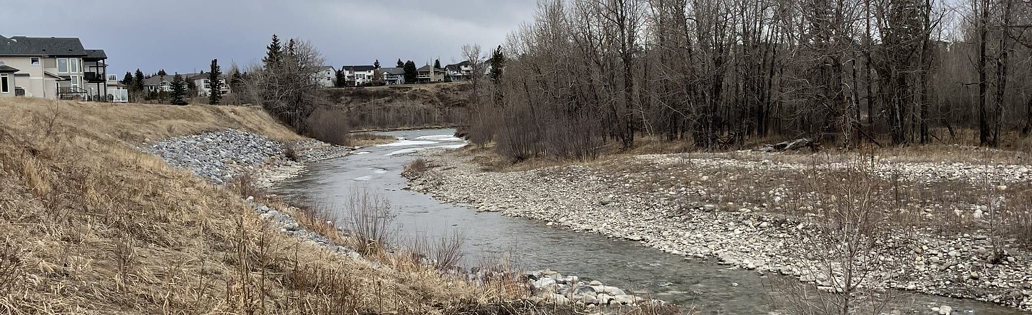 Bow Ridge Loop, Alberta, Canada - 27 Reviews, Map | AllTrails