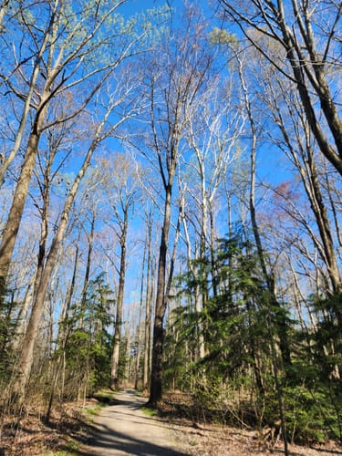 Best Hikes and Trails in Hell Hollow Wilderness Area | AllTrails
