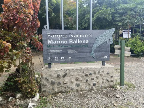 Best Hikes and Trails in Parque Nacional Marino Ballena | AllTrails