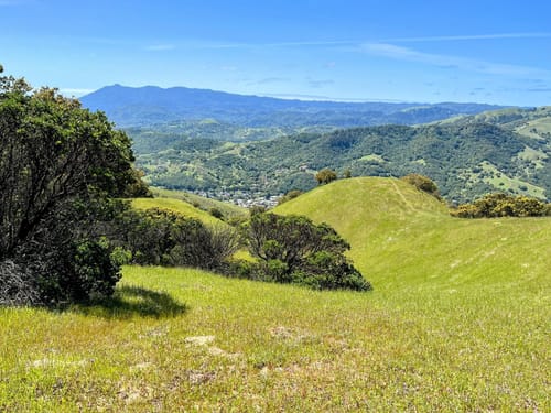 Best Hikes and Trails in Ignacio Valley Preserve | AllTrails