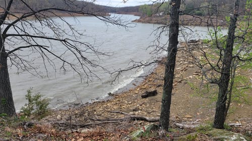 2023 Best trails in Cross Timbers State Park | AllTrails
