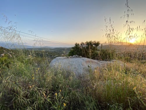 Best Hikes and Trails in Potrero Reserve | AllTrails