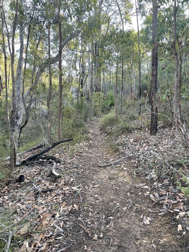 Best Hikes and Trails in Darling Range | AllTrails