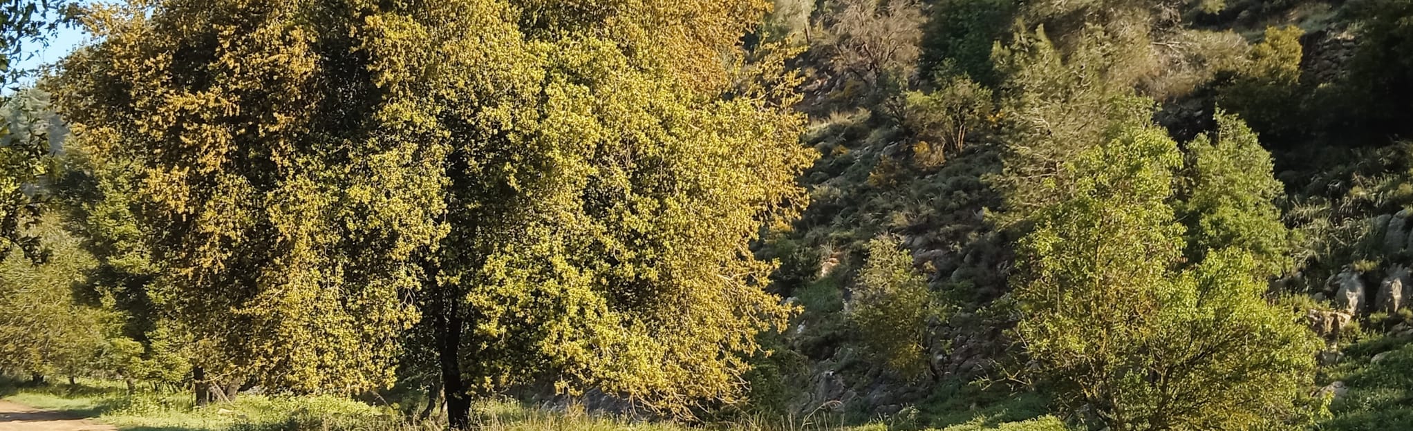 Refaim Stream and Jerusalem Mountains Loop: 7 Reviews, Map - Jerusalem ...