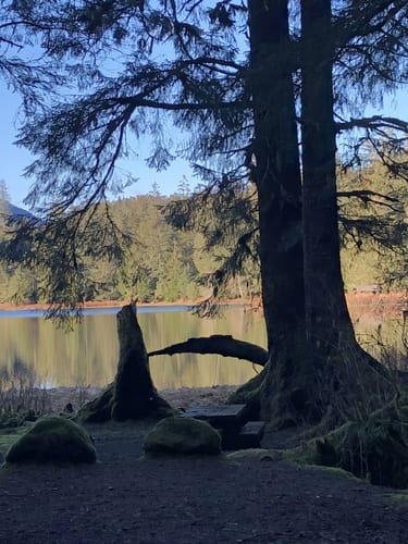 Best Hikes and Trails in Ward Lake Recreation Area | AllTrails