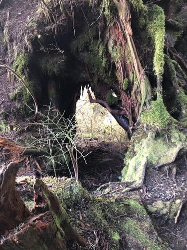 Best Hikes and Trails in Ward Lake Recreation Area | AllTrails