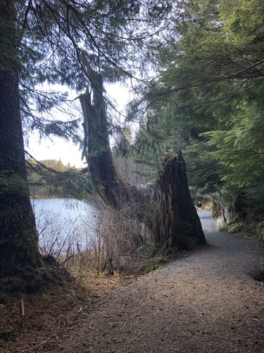 Best Hikes and Trails in Ward Lake Recreation Area | AllTrails